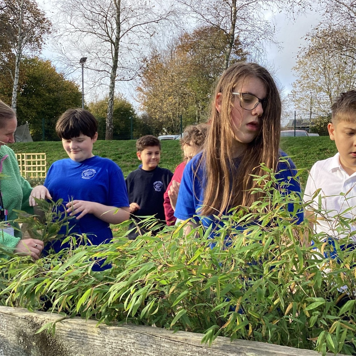 Doubletrees School - Discovery Outdoor Learning!